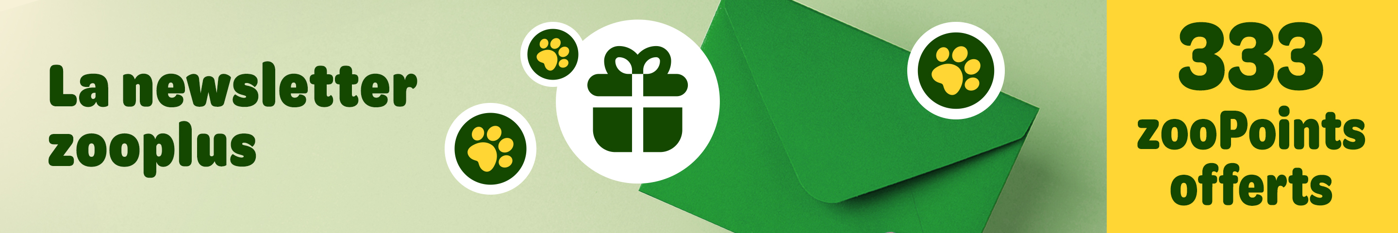 Rhodesian Ridgeback : prix, caractère, élevage | Magazine zooplus